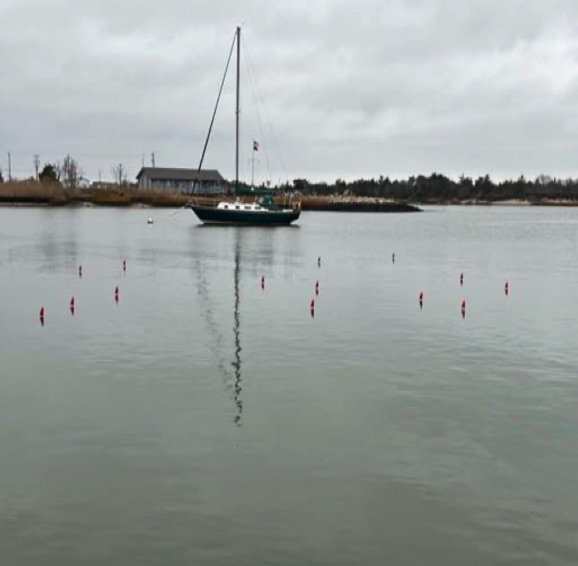 Salt front detection